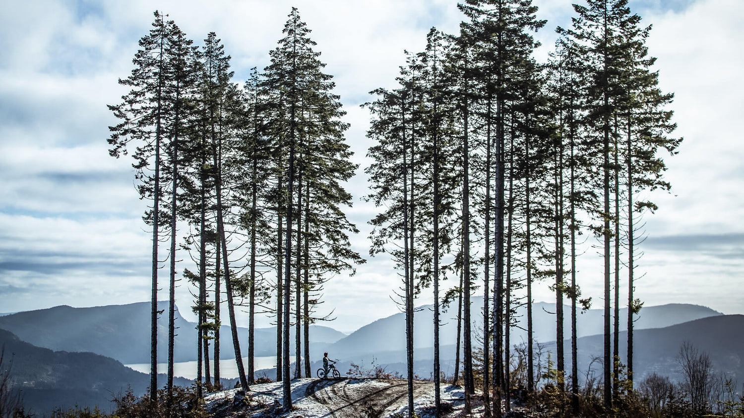 Mischief Women's Collection – Troy Lee Designs