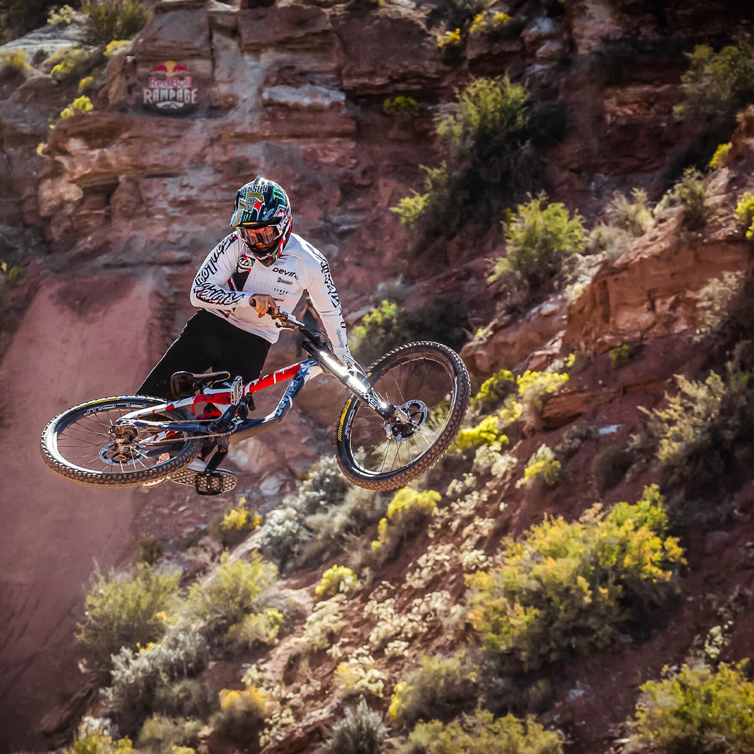 Troy Lee Designs - Moto, MTB, Helmets, Gear and Protection